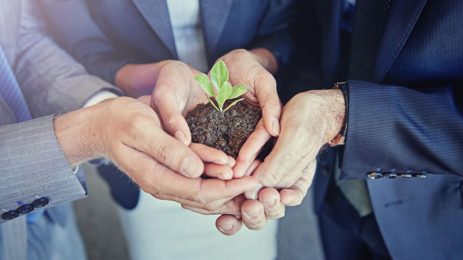 5 Top CSR Software Solutions For 2024: Features & Benefits